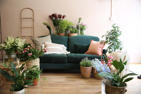 Design your own sofas – TLC Home